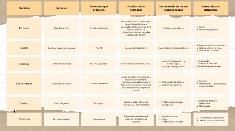 Cuadro Comparativo CT | PDF | Tiroides | Hormona