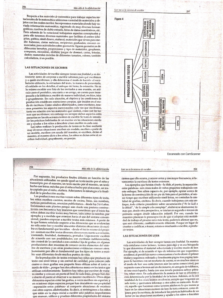 Situaciones de Leer y Escribir-Miriam Nemirovsky | PDF