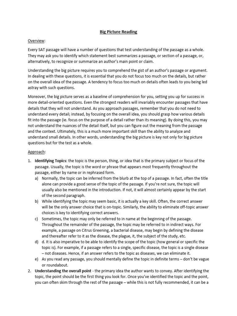 Big Picture & Rhetoric Review | PDF