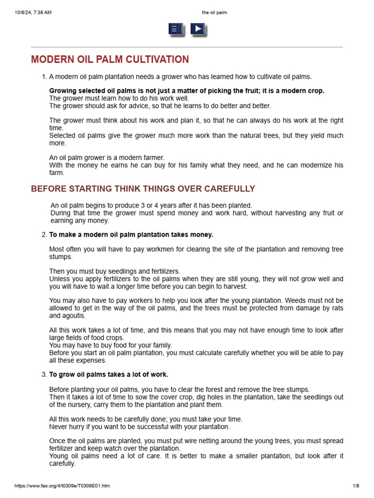 The Oil Palm Explanation | PDF