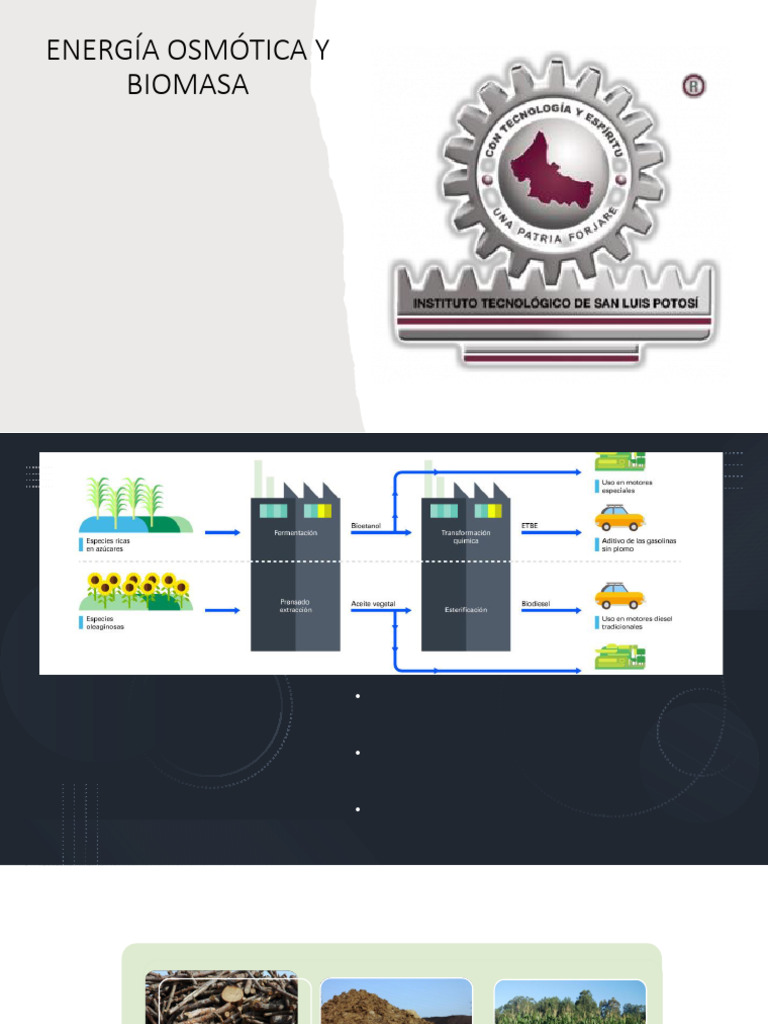 Exposicion Biomasa y Osmotica | PDF