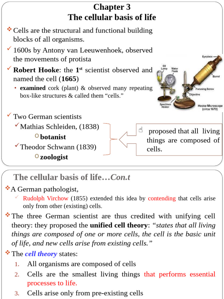 General Biology Ch-3 revised | PDF