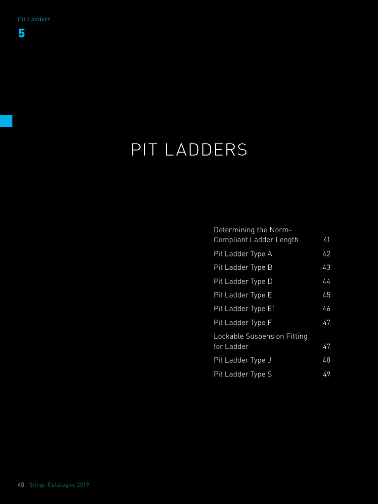 Pit Ladders Download | PDF | Ladder | Door