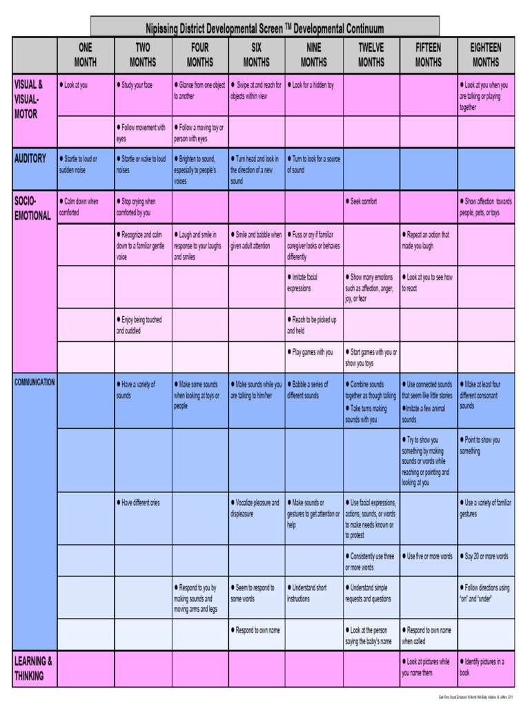 NDDS Development Continuum | PDF