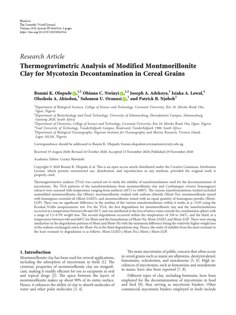 Thermogravimetric Analysis of Modified Montmorillo | PDF