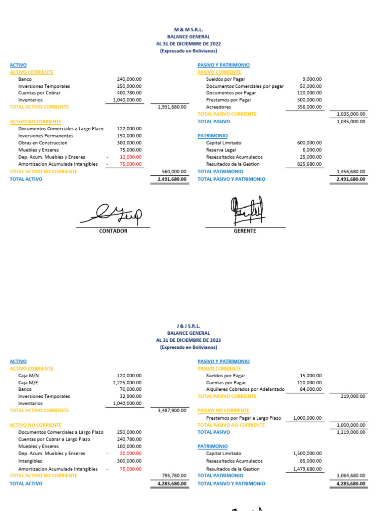 Balance General Empresas S.R.L. 2023 | PDF