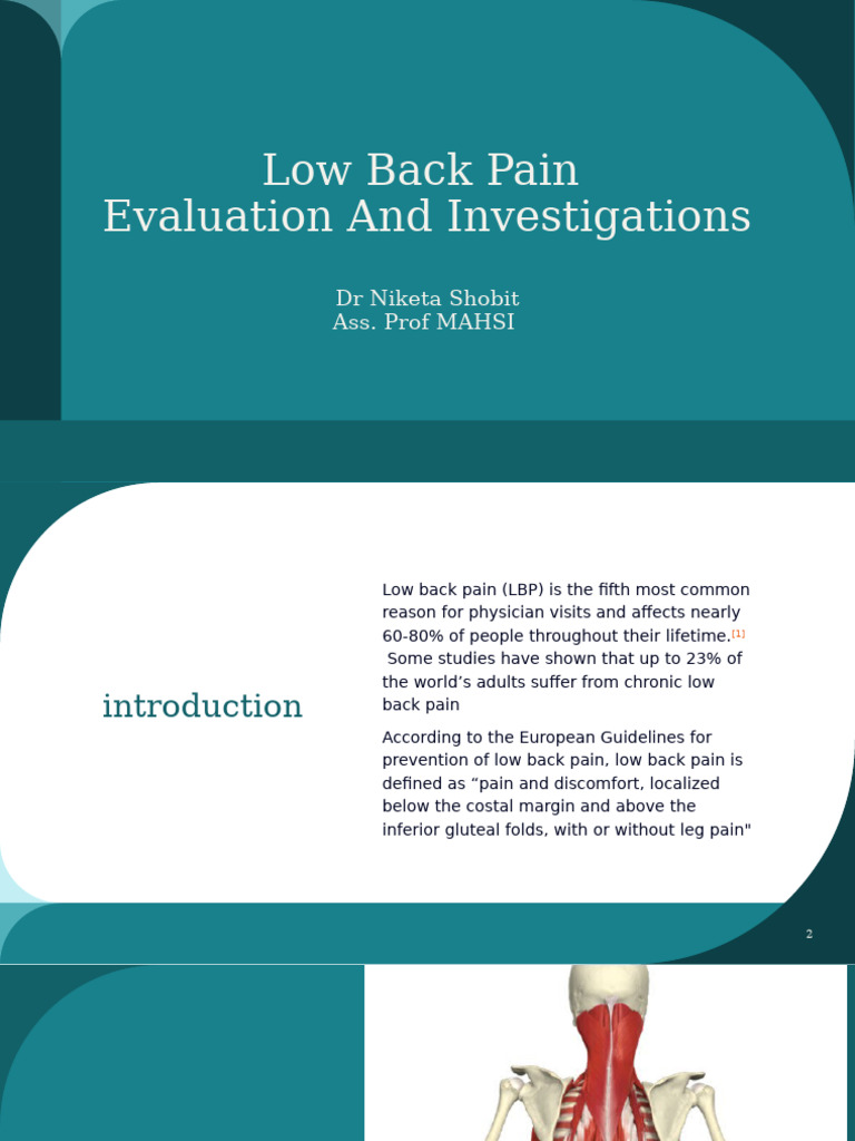 Low Back Pain | PDF