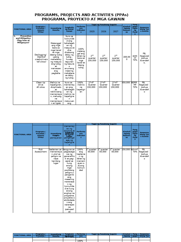 WORKSHOP 8 BLANK - FINAL PPAs (Programs, Projects and Activities) | PDF
