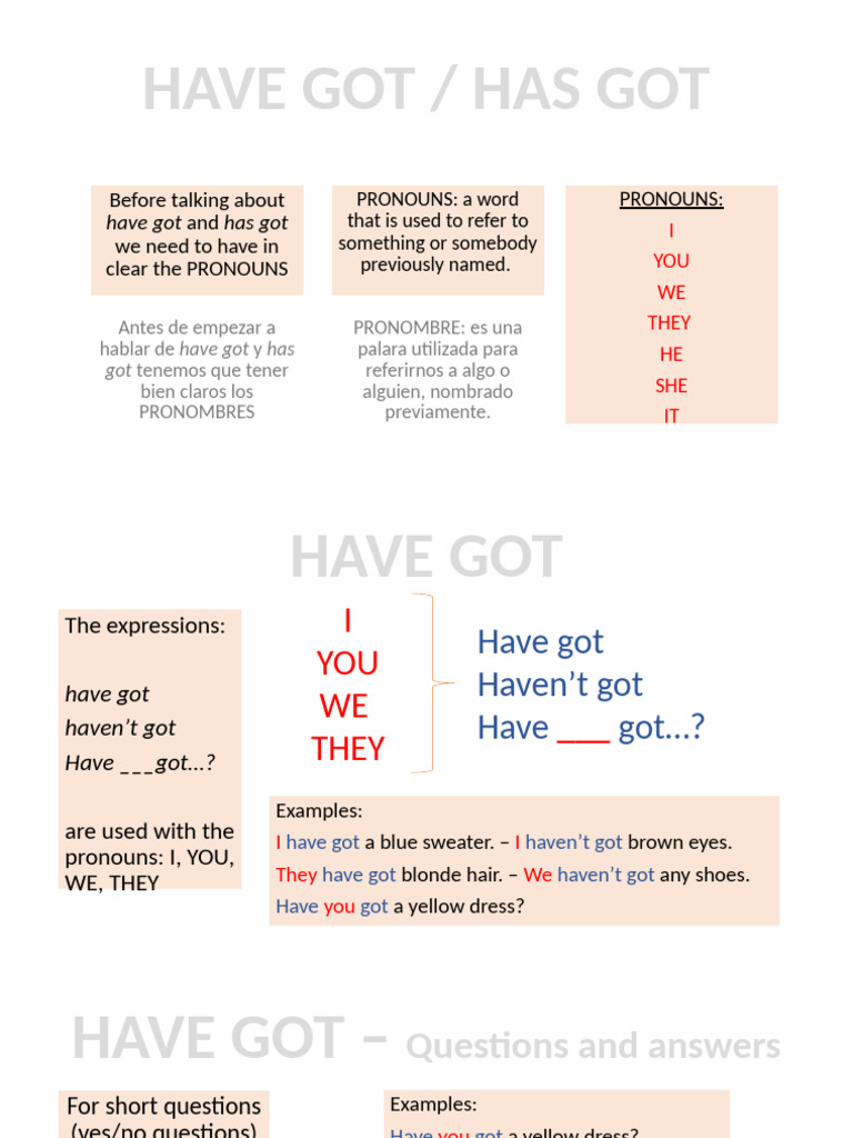 Pronouns and 'Have/Has Got' Usage Guide | PDF