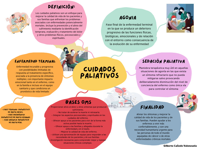 Mapa Conceptual CUIDADOS PALIATIVOS | PDF