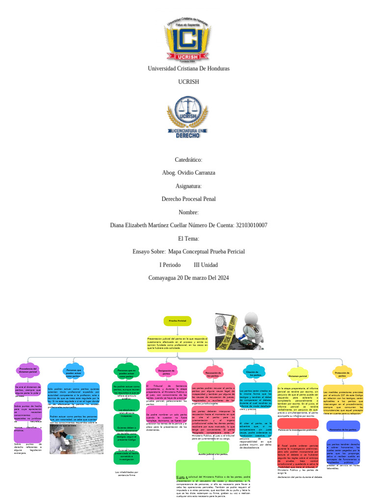 Diana Martinez-Mapa Conceptual Sobre La Prueba Pericial | PDF