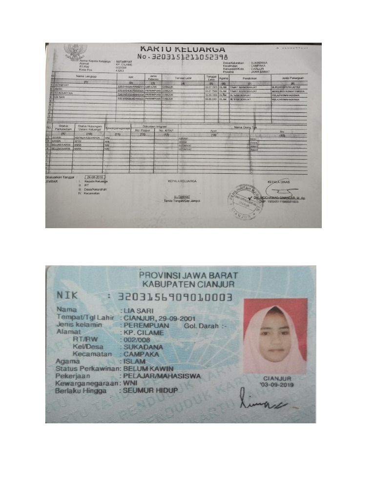 LLLL | PDF
