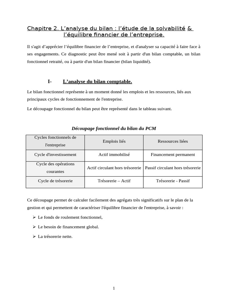 Analyse Du Bilan | PDF