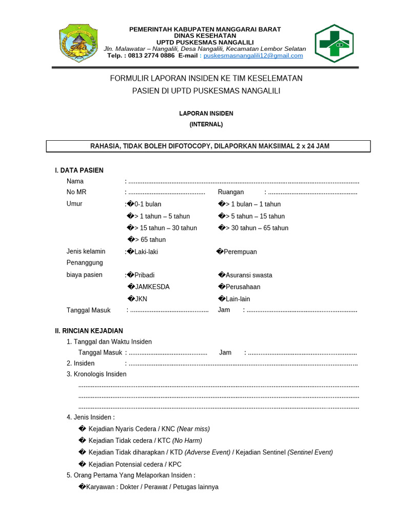 FORM PELAPORAN IKP INTERNAL DOKUMEN TELUSUR (PRINT) | PDF