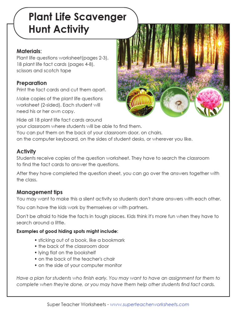 Plant Scav Hunt - WMTFM | PDF