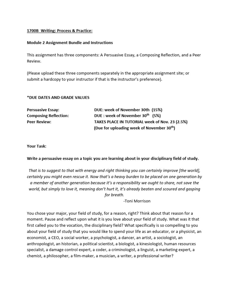 Persuasive Essay Assignment Guide | PDF | Concept | Essays
