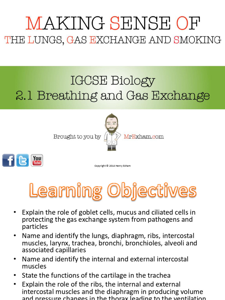 1. Gas exchange in humans (T) copy | PDF