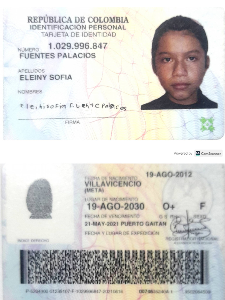 Documentos de Identidad | PDF