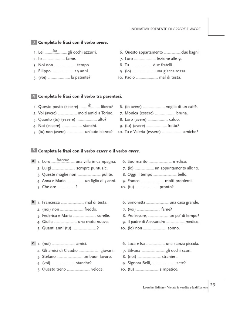 Completa Le Frasi Con Il Verbo .: Avere | PDF