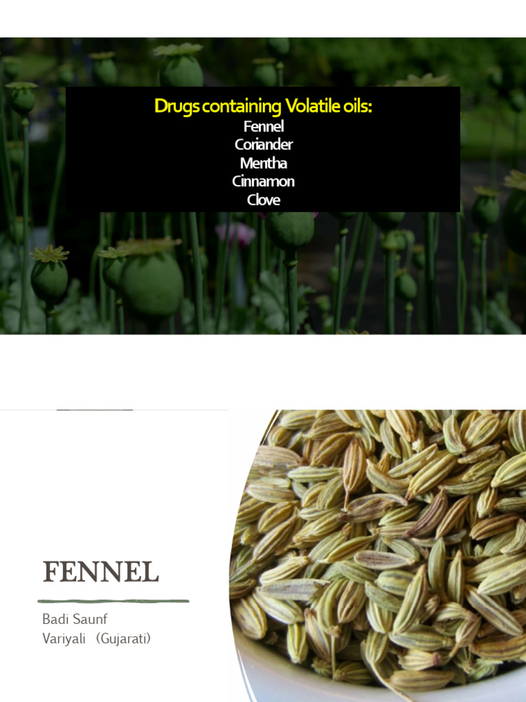 Drugs Containing Volatile Oils | PDF