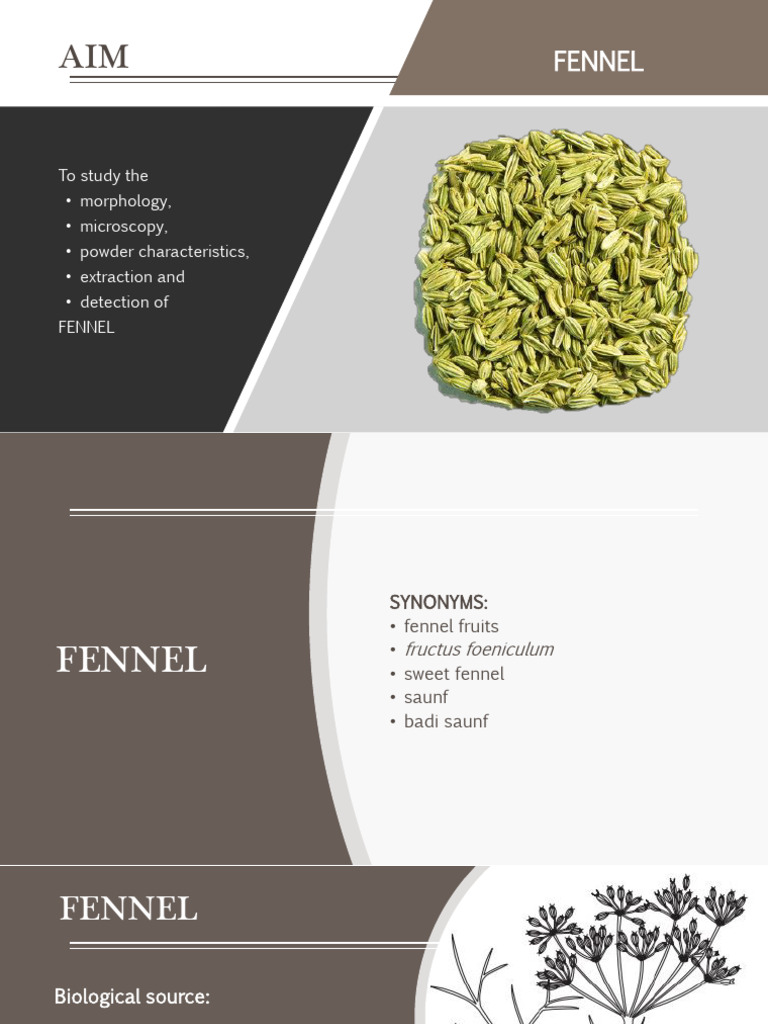 2 Fennel | PDF