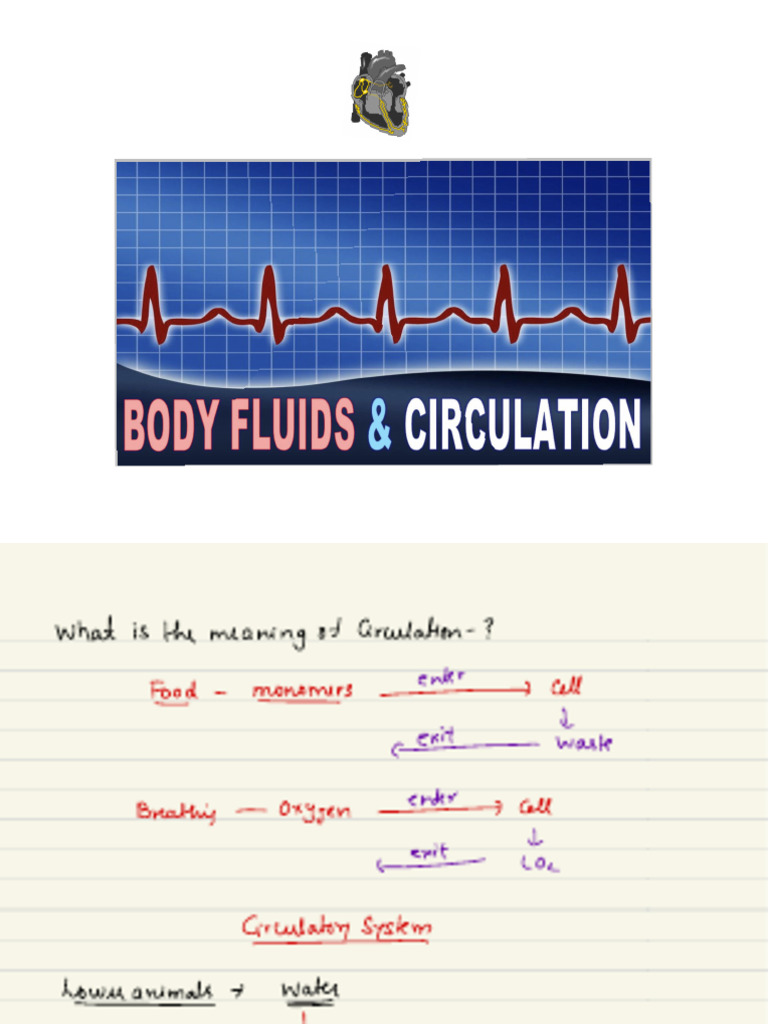 Body Fluids and Circulation | PDF