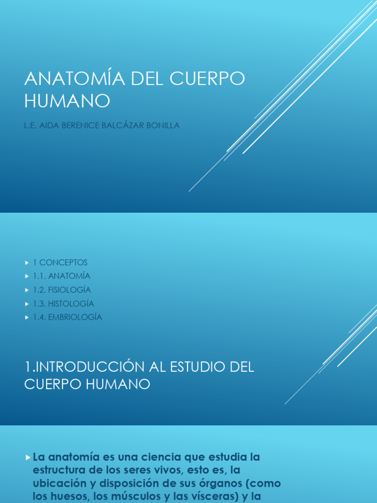 anatom-a-del-cuerpo-humano-pdf