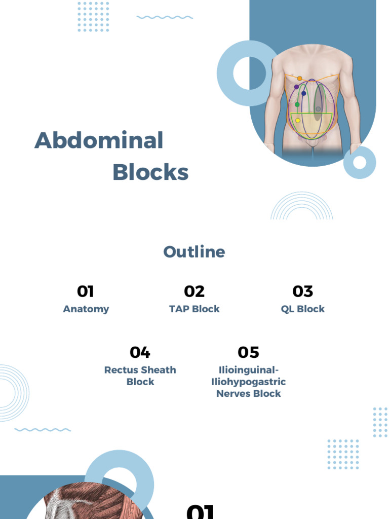 Abd Trunk Block | PDF | Abdomen | Musculoskeletal System