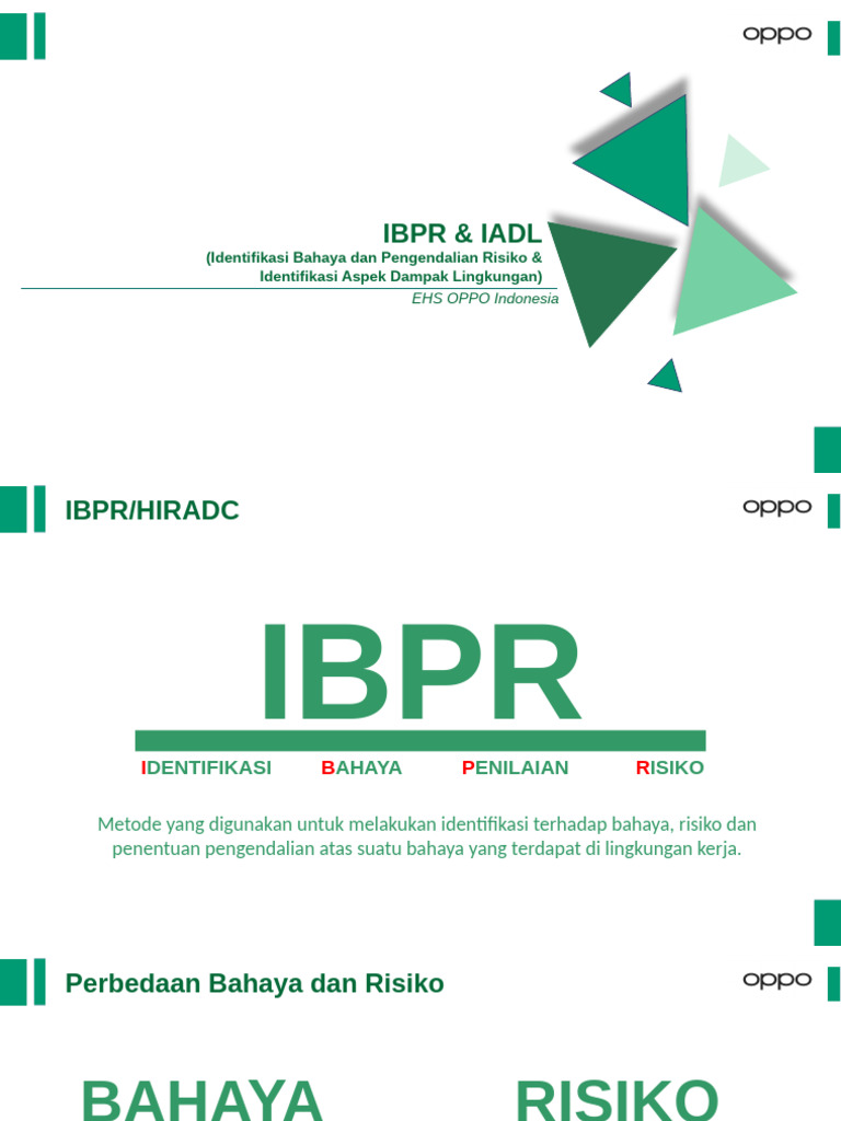 IBPR Dan IADL | PDF