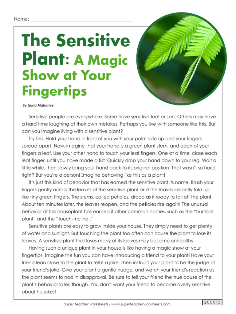 5th Sensitive Plant - WBFFZ | PDF
