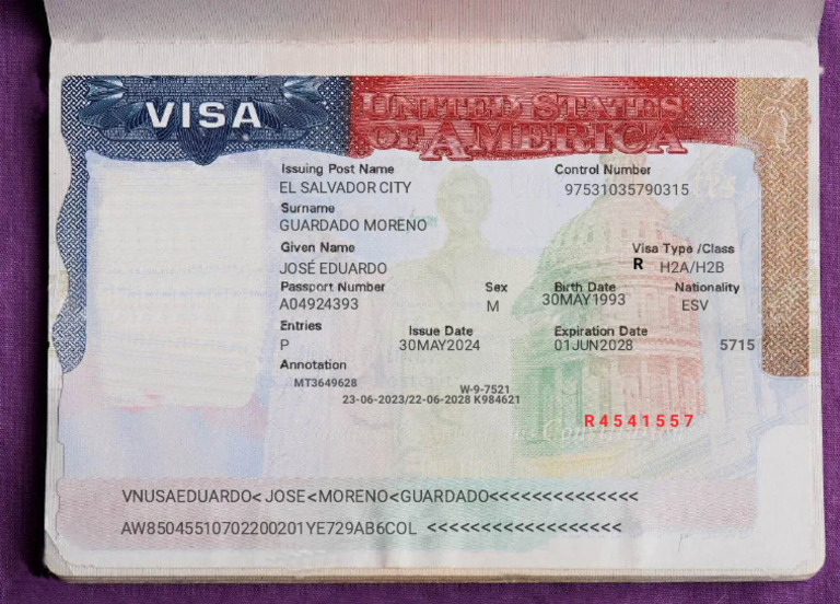 Visa Editor | PDF