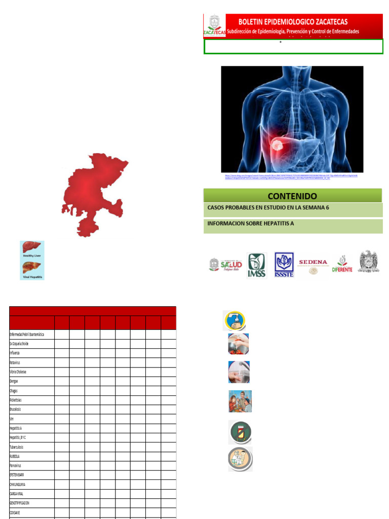 Hepatitis | PDF