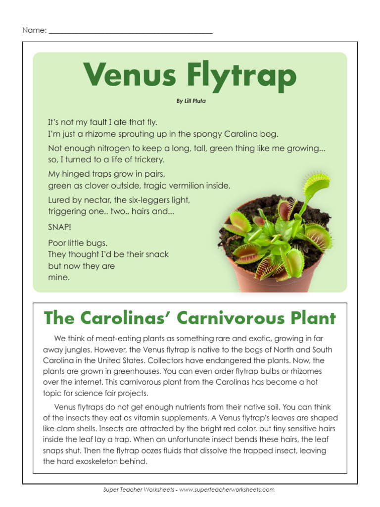 4th Venus Flytraps - WBDRM | PDF