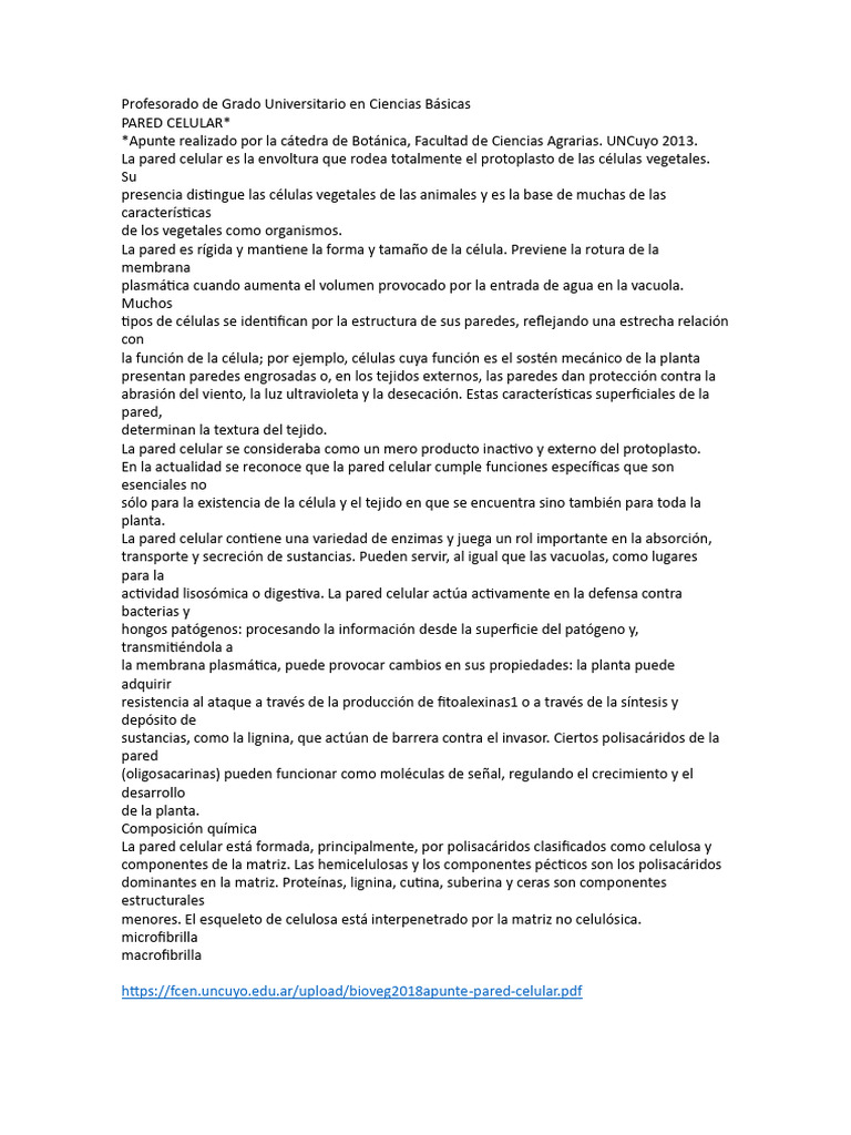 Documento (11) 3 | PDF