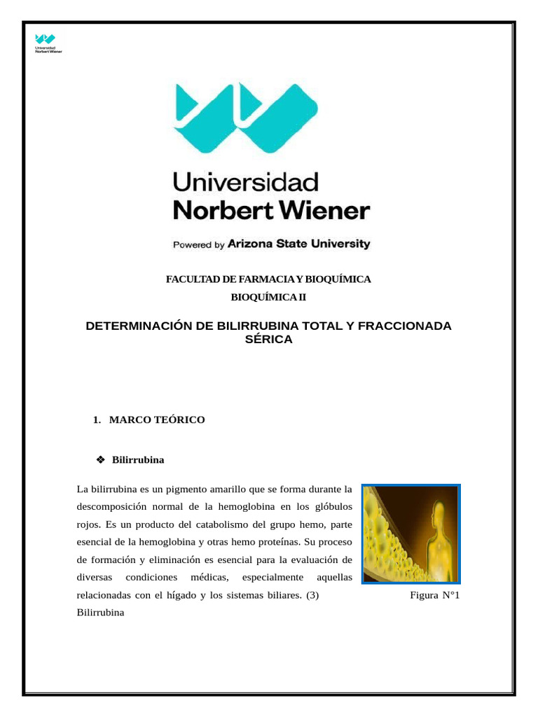 Bioquimica Ii Practica N°12.... | PDF