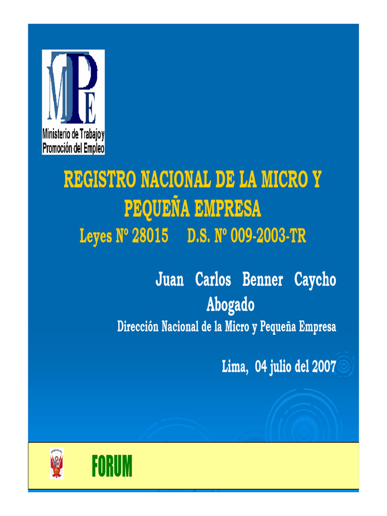 Registro Nacional Mype | PDF