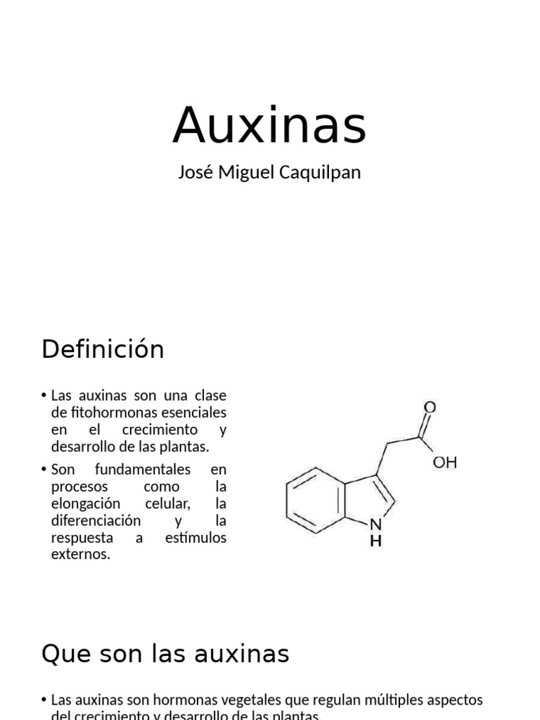 Auxinas | PDF