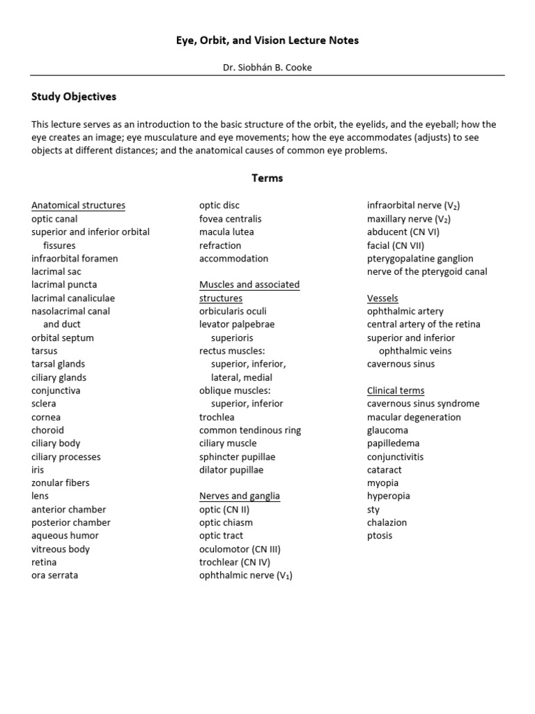Eye Orbit Vision Notes | PDF | Human Eye | Human Anatomy
