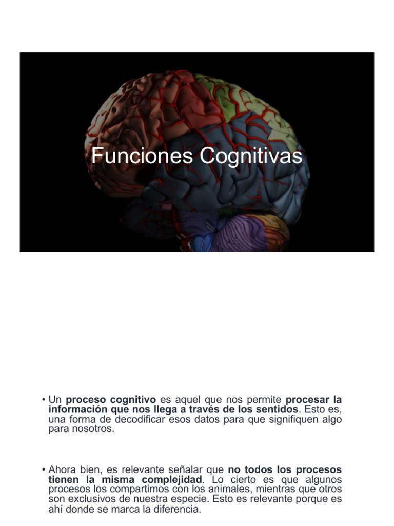 Funciones Cognitivas | PDF