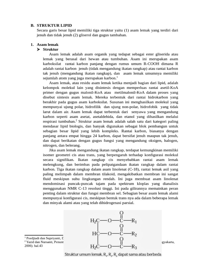 Struktur Lipid | PDF