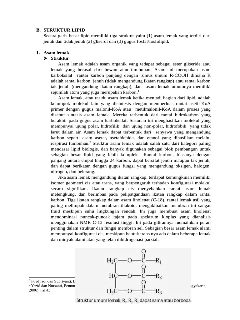 Struktur Lipid Tambahan | PDF