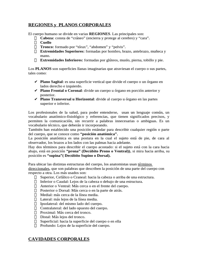 4 Resumen de Planos y Cavidades Corporales 1 | PDF
