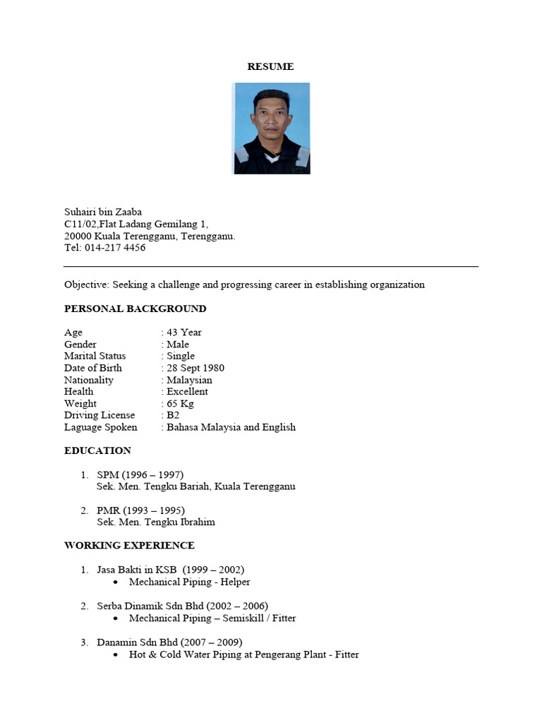 CV - Project Supervisor | PDF