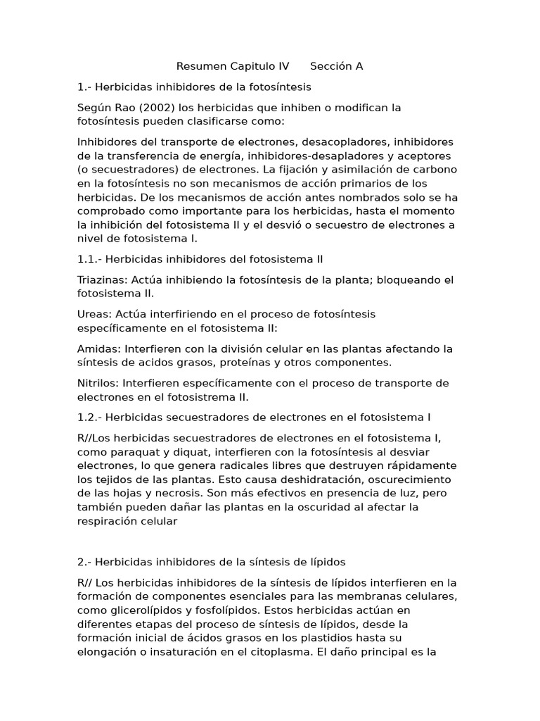 Resumen Capitulo IV Sección A | PDF