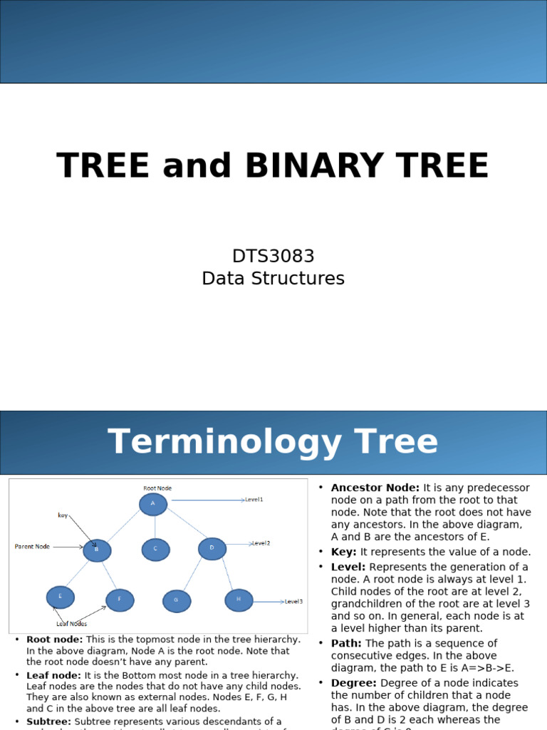 Tree | PDF