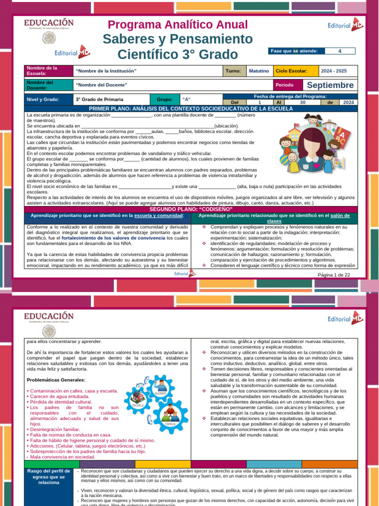 Saberes y Pensam Prim 3° Prog Analitico Septiembre | PDF | Aprendizaje ...