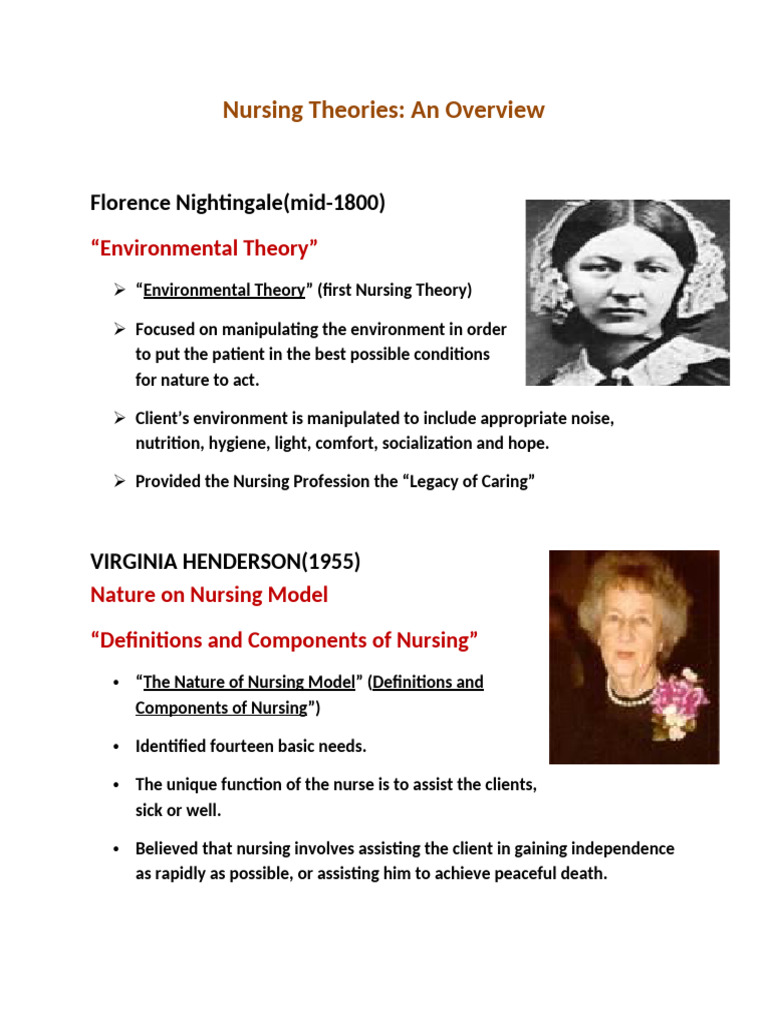 Overview of Nursing Theories | PDF