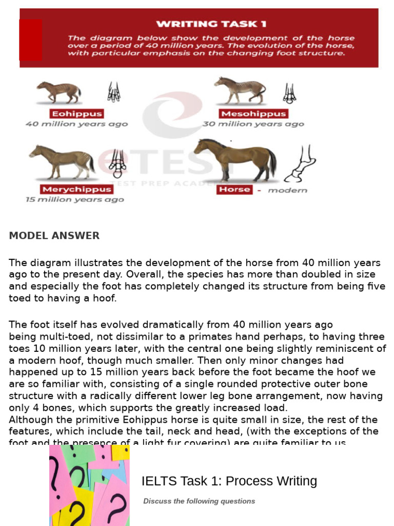 Process Writing | PDF