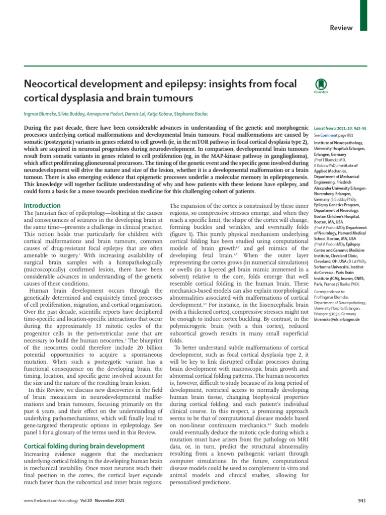 Neocortical Development and Epilepsy: Insights From Focal Cortical ...