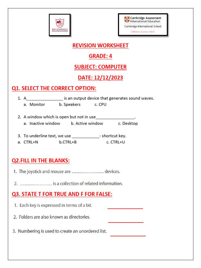 Revision Worksheet For Computer | PDF